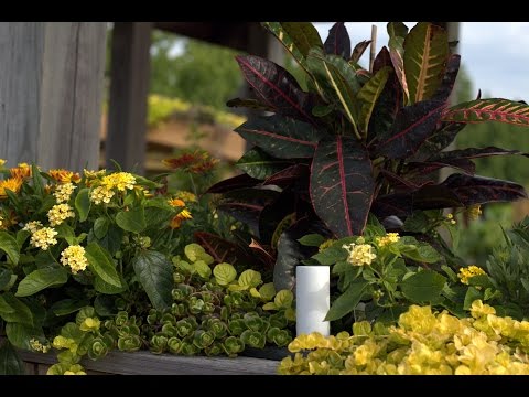 Introducing PlantLink