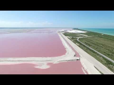 Vista con dron de playa rosa en Yucatán – Prensa Libre