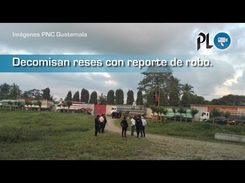 Capturados Por Robo De Ganado