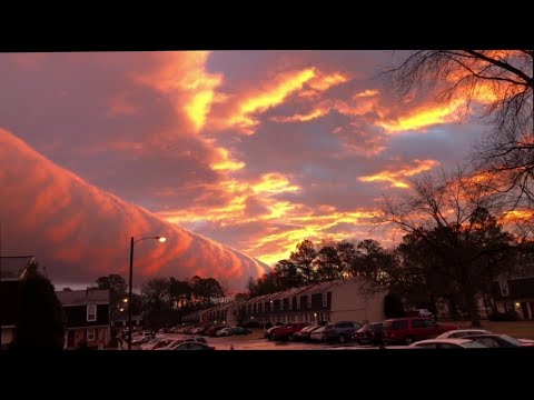 Nature with No Filter || ViralHog