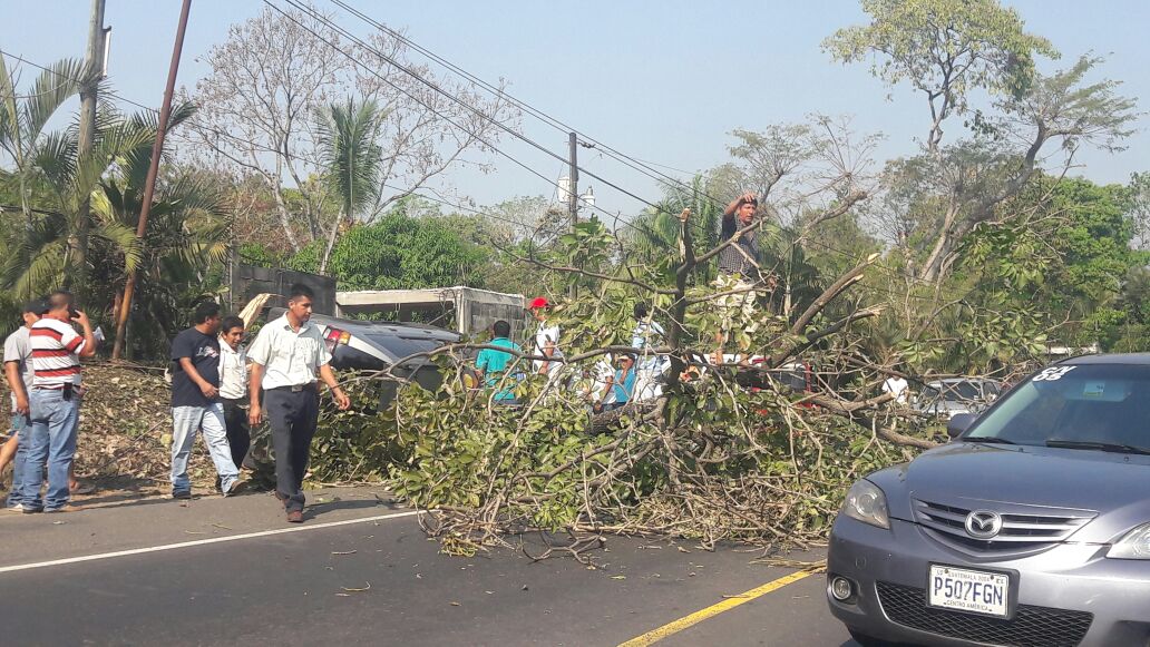 Árbol obstruye ruta a Coatepeque