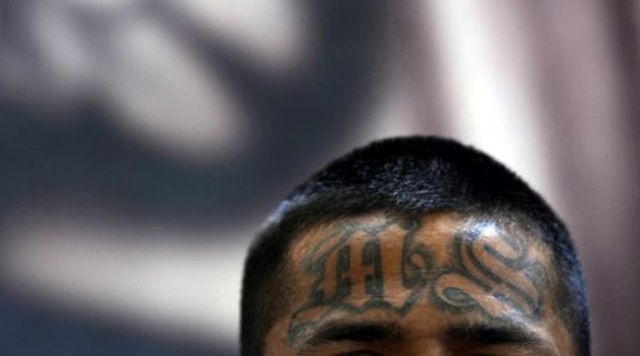 Pandilla MS-13 tema central de mesa redonda sobre tema de inmigración