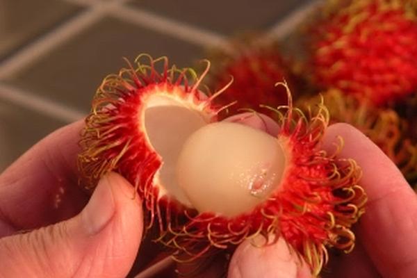 Beneficios del rambután – Prensa Libre