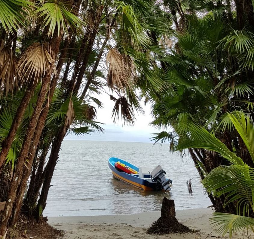 Paraíso en el caribe
