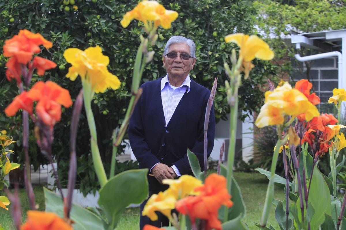 El maestro jardinero