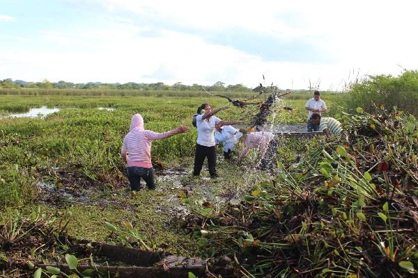 Limpian sector del lago Petén Itzá