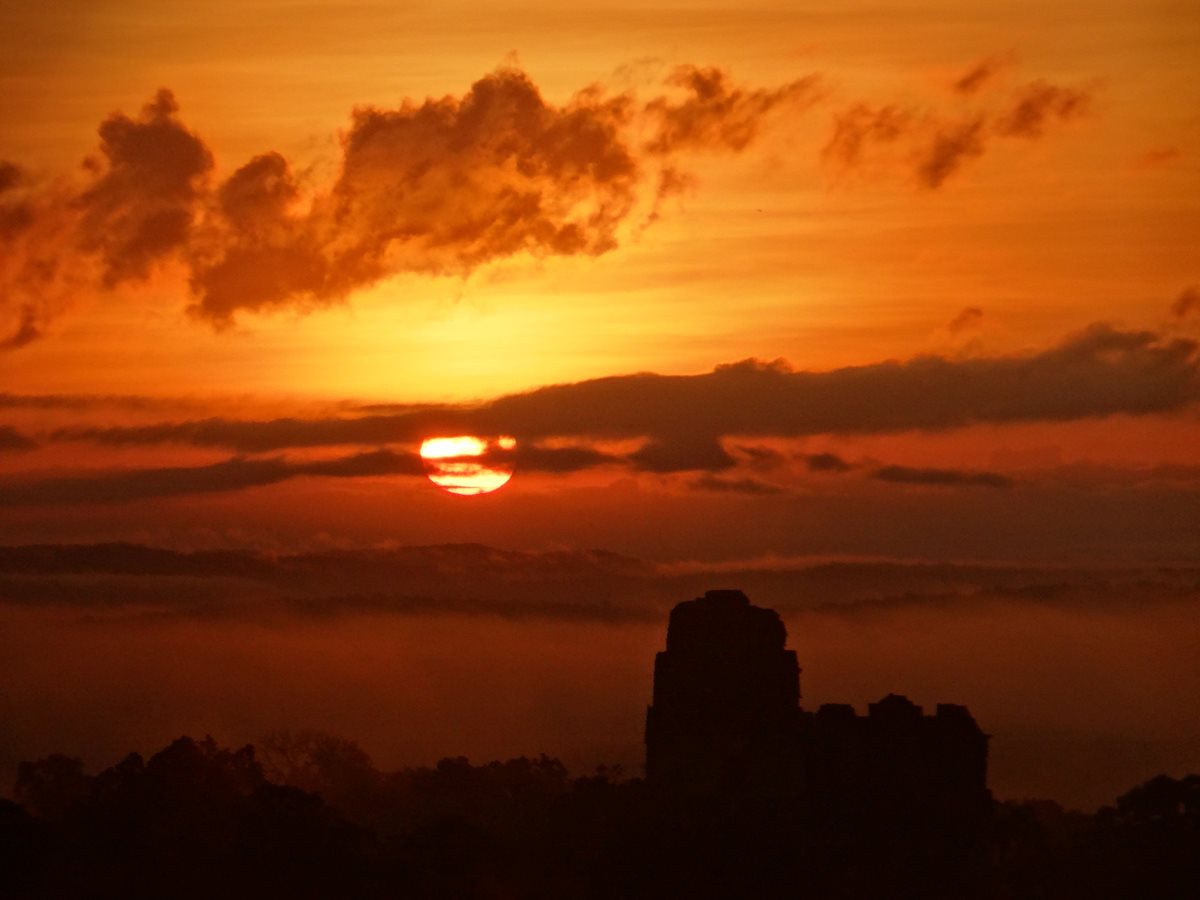 Postal desde la selva maya