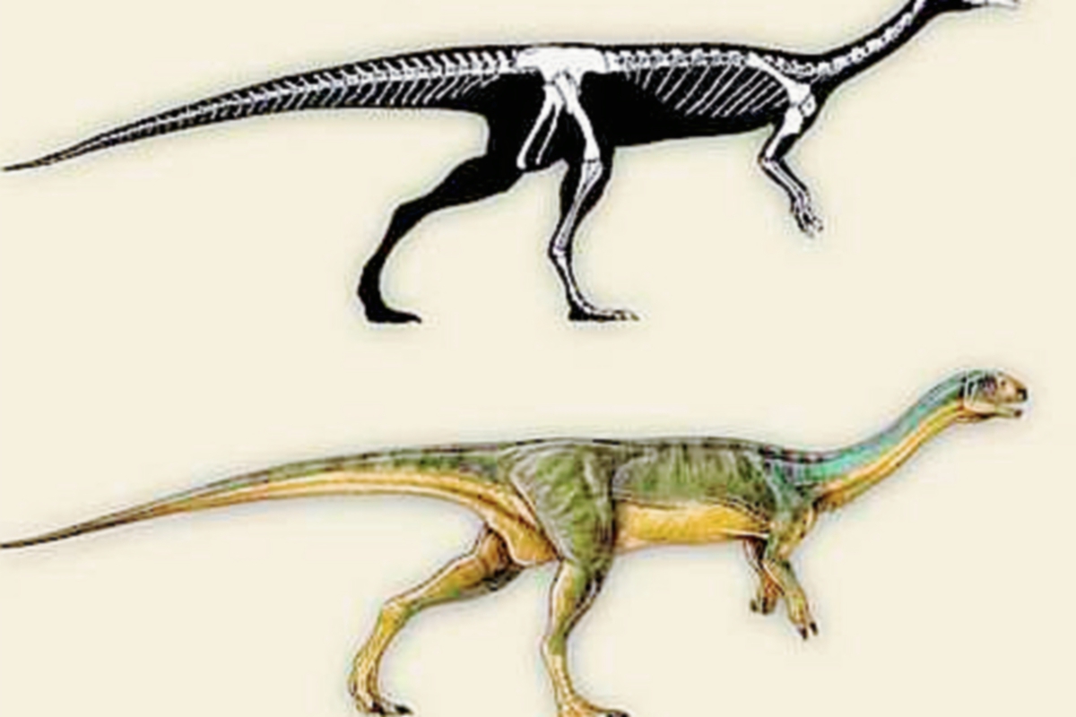 Chilesaurio, asombroso dinosaurio herbívoro del sur de Chile