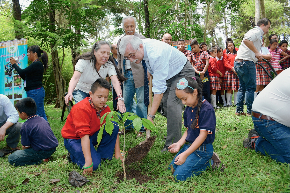 Inauguran temporada de reforestación 2015 – Prensa Libre