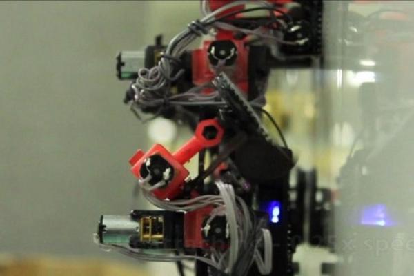 Científicos dan el primer paso para el envío de un robot gecko al ...