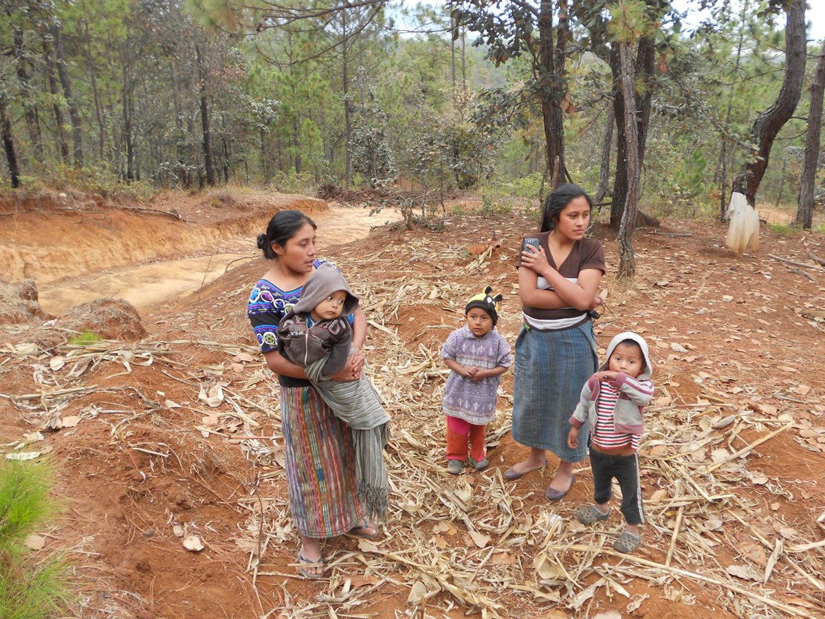 Miles de niños no asisten a la escuela, según censo del Mineduc