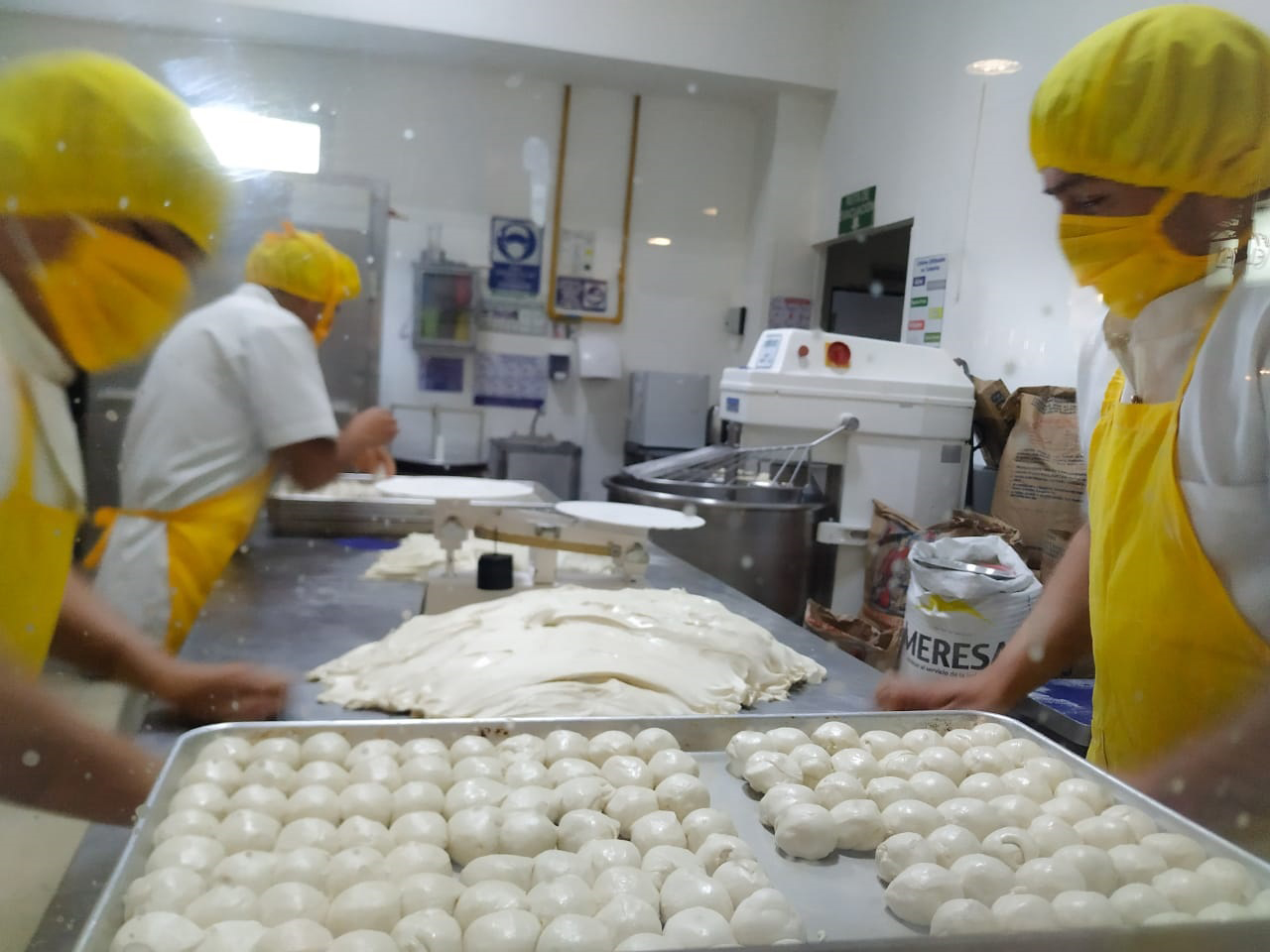 Los planes de Xelapan para continuar su expansión (y por qué no se ...