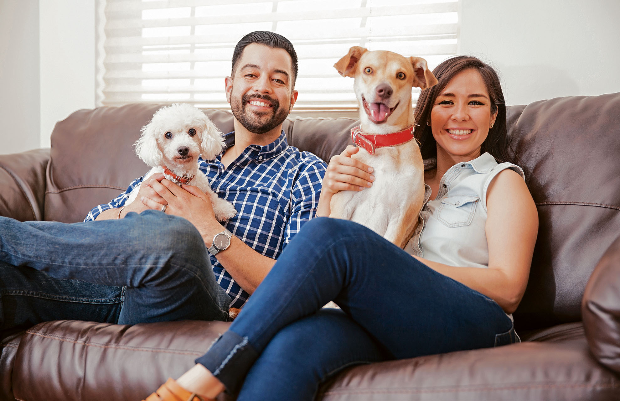 ¿Por qué una mascota es parte de la familia?