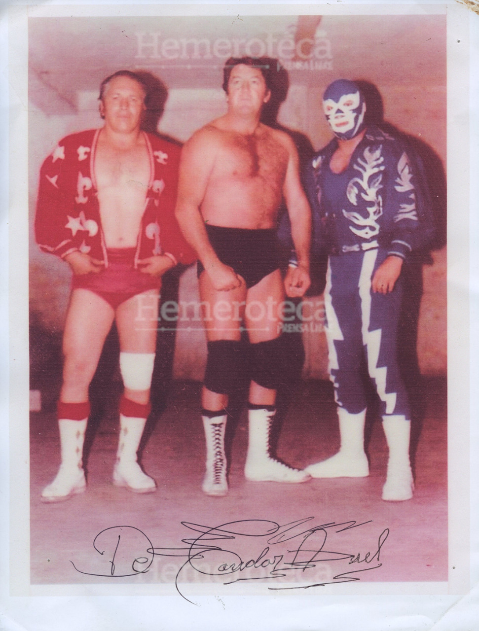 Fallece Rayo Chapín, ícono de la época de oro de la lucha libre ...