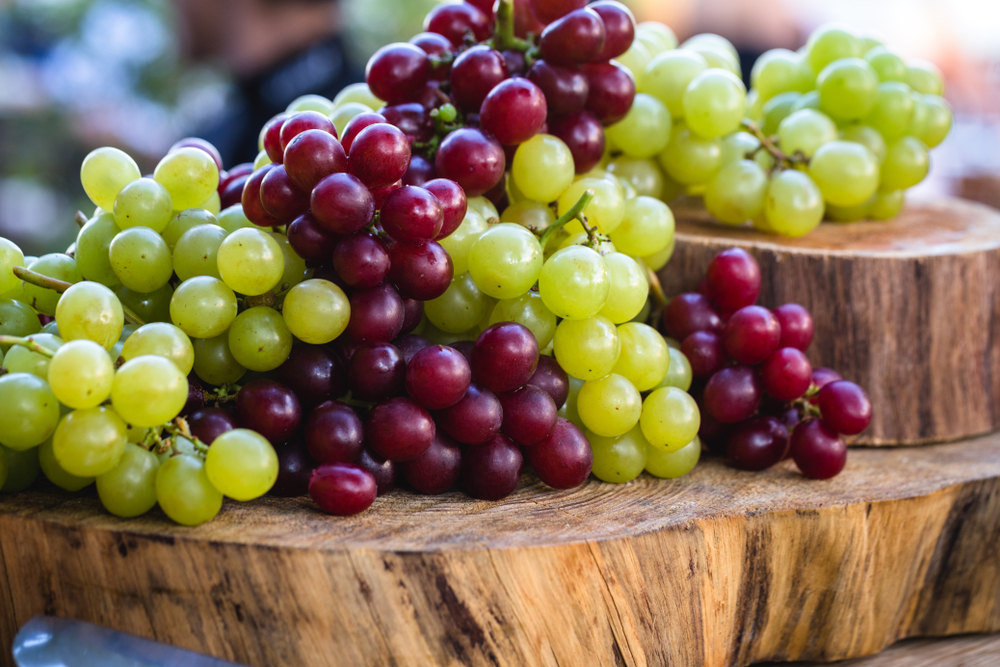 Conozca cuáles son las flores y frutos de la temporada navideña ...