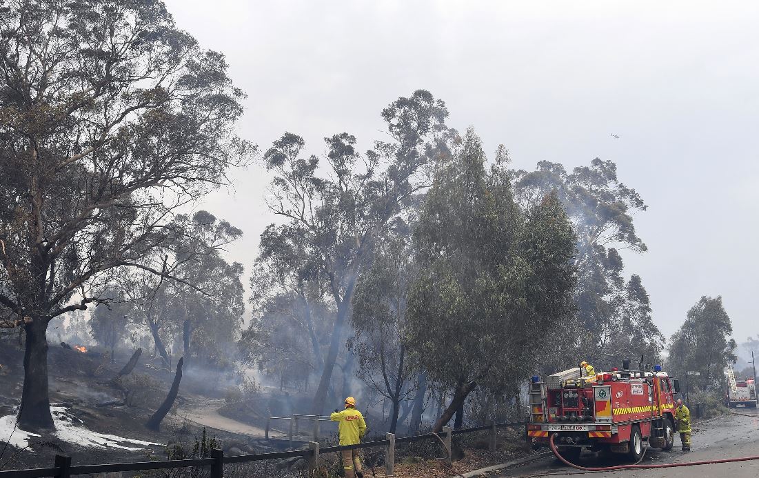 Continúan los incendios forestales en Australia y se reportan muertos ...