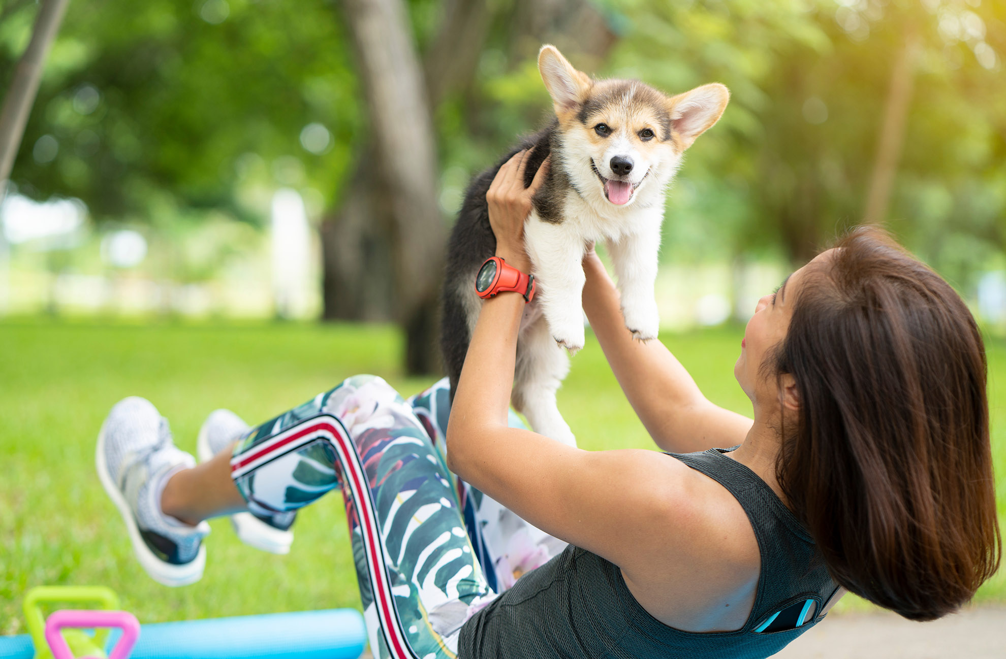 Ejercicios para mantener a tu perro sano y fuerte – Prensa Libre