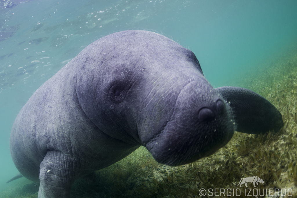 Fotogalería: 26 de enero, Día Mundial de la Educación Ambiental ...