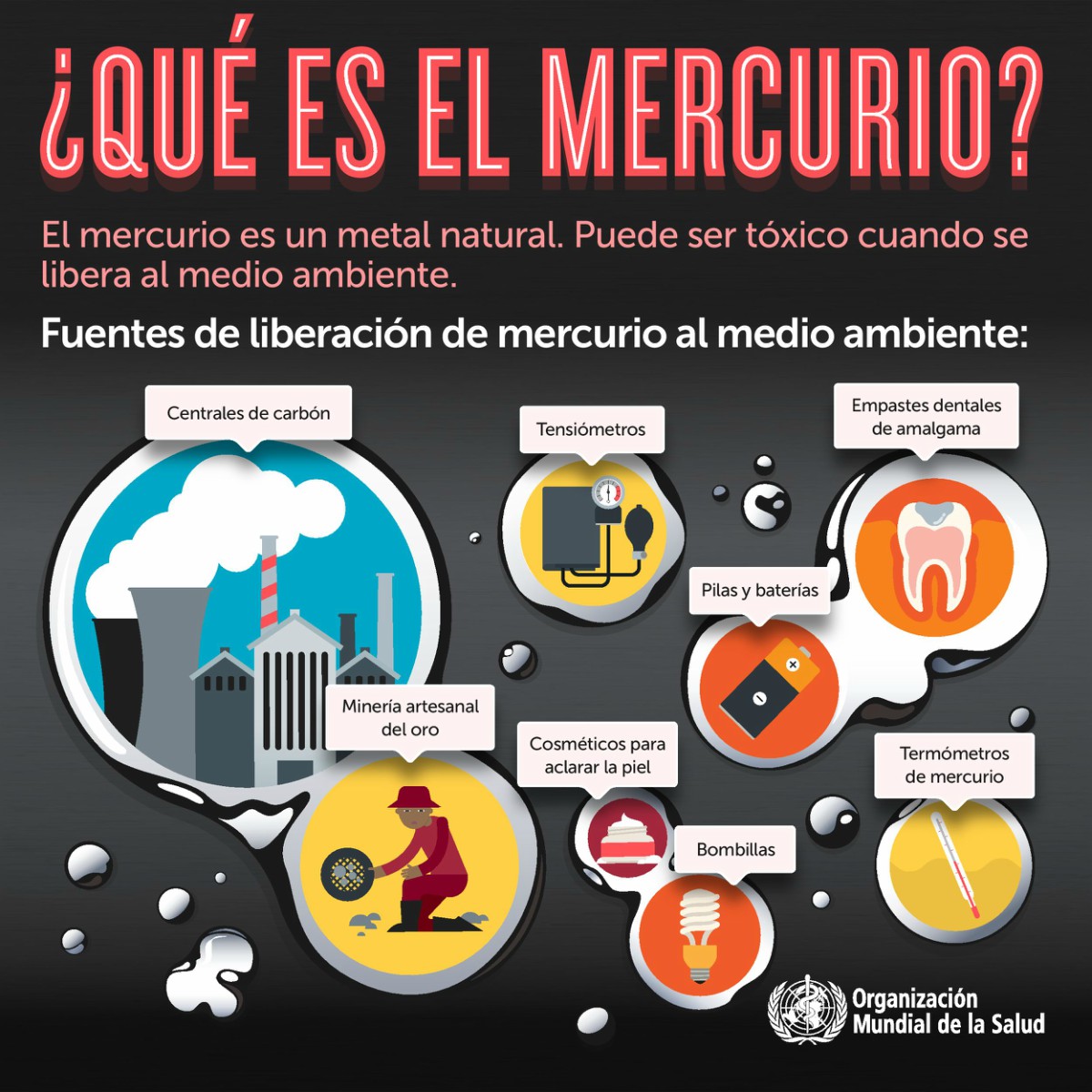 El mercurio y el riesgo de consumir pescado en exceso – Prensa Libre