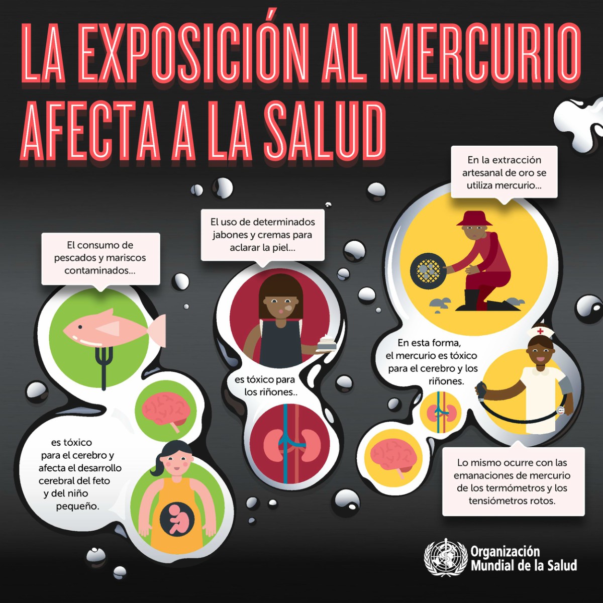 El mercurio y el riesgo de consumir pescado en exceso