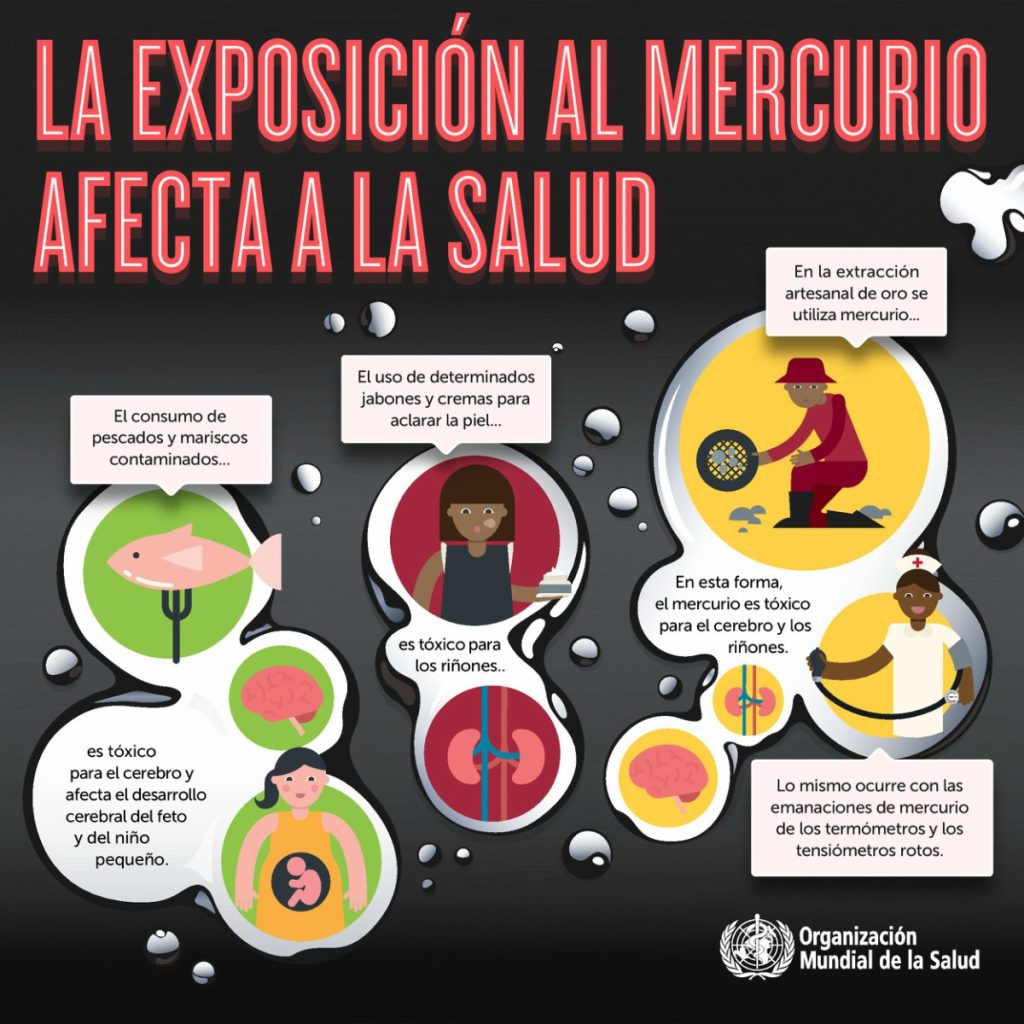 El mercurio y el riesgo de consumir pescado en exceso