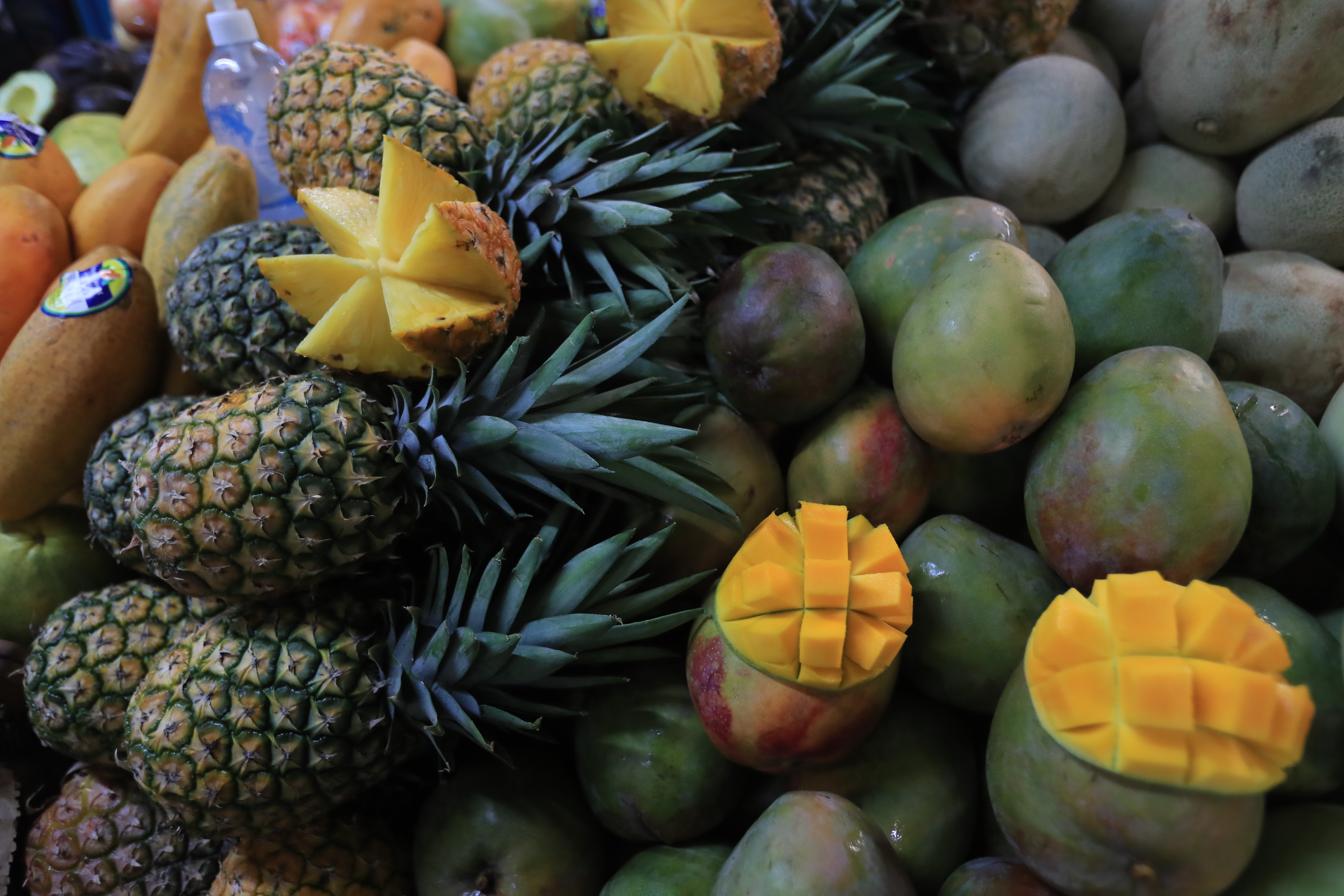 Coronavirus: ¿Puede Guatemala aumentar su producción agrícola para ...