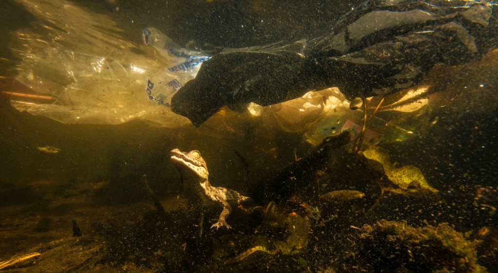 Colapso de biobarda en río Motagua agrava acumulación de basura en ...