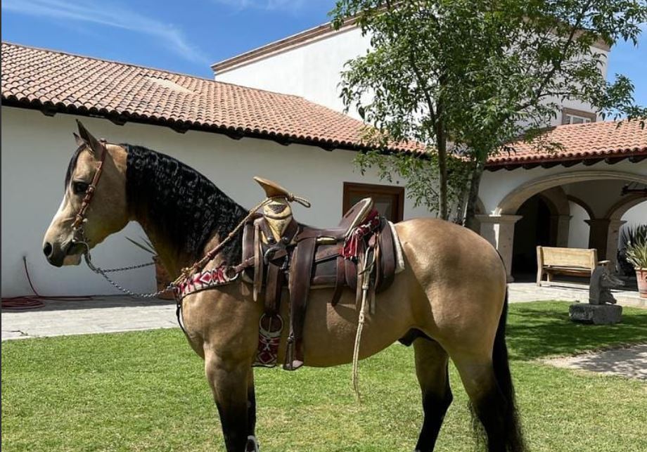 Vicente Fernández: así es el rancho Los Tres Potrillos, un ícono ...
