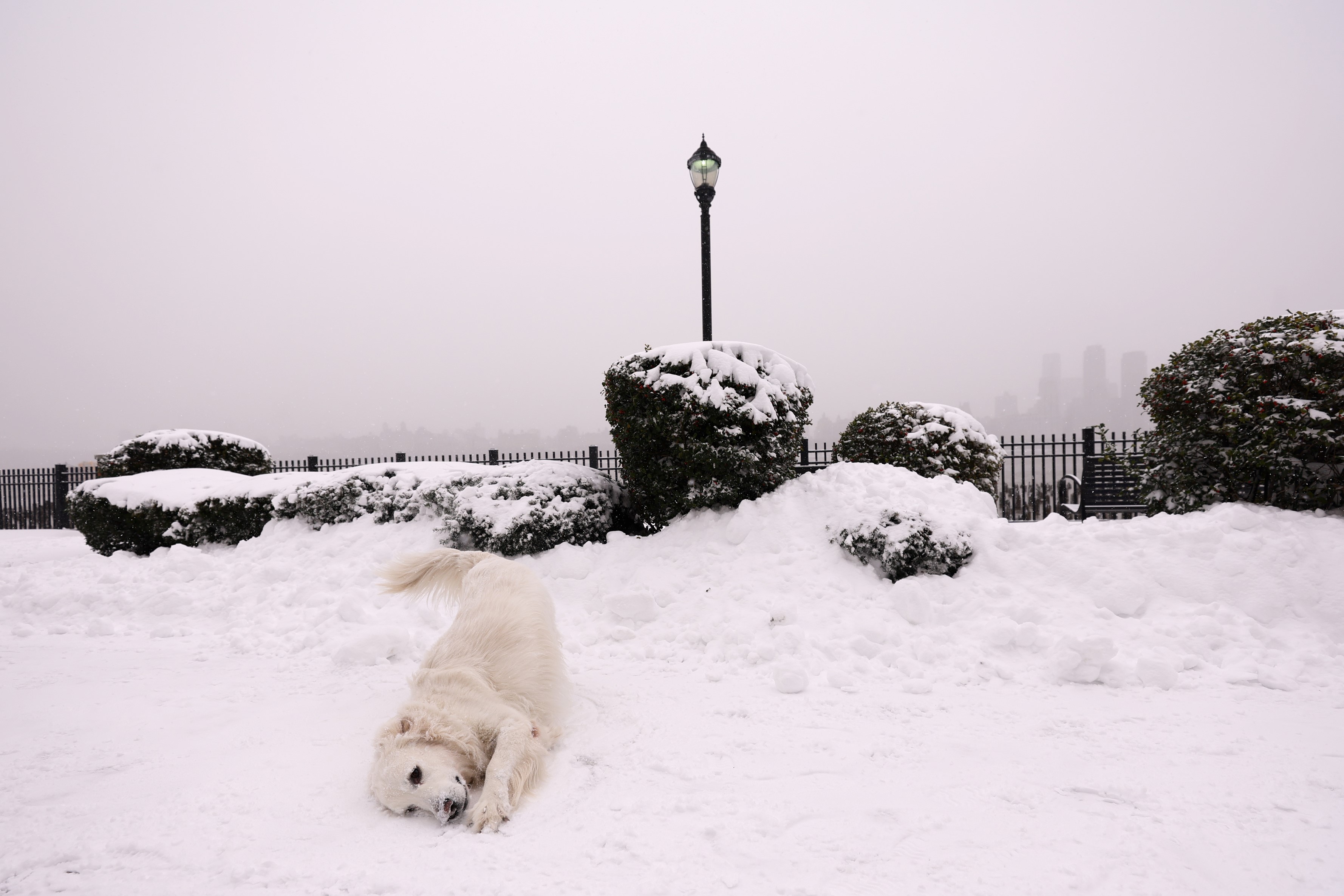 Las impresionantes imágenes de la tormenta de nieve “histórica” que ...