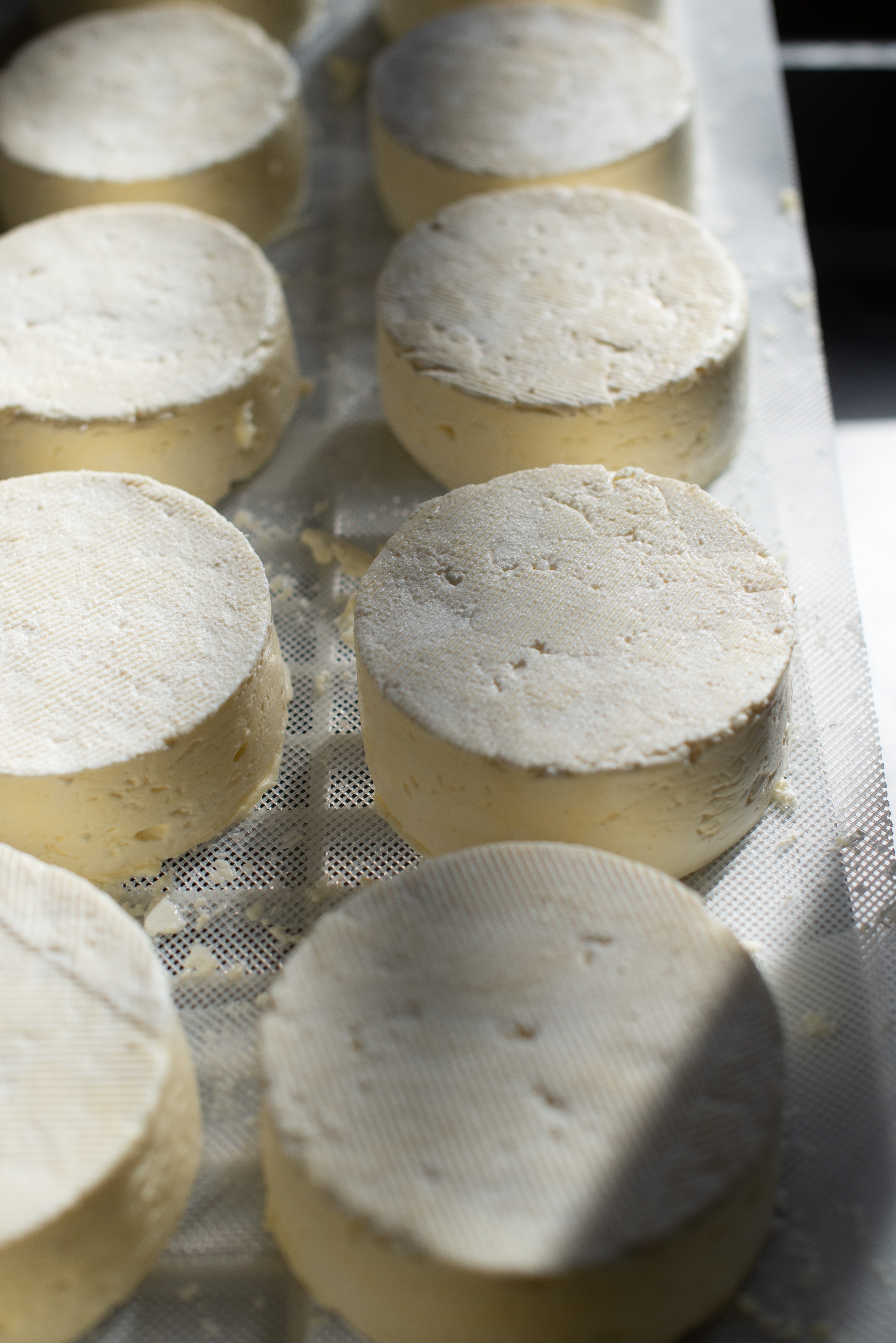 Intoxicación Por Consumo De Queso Salud Levanta Alerta En Sacatepéquez