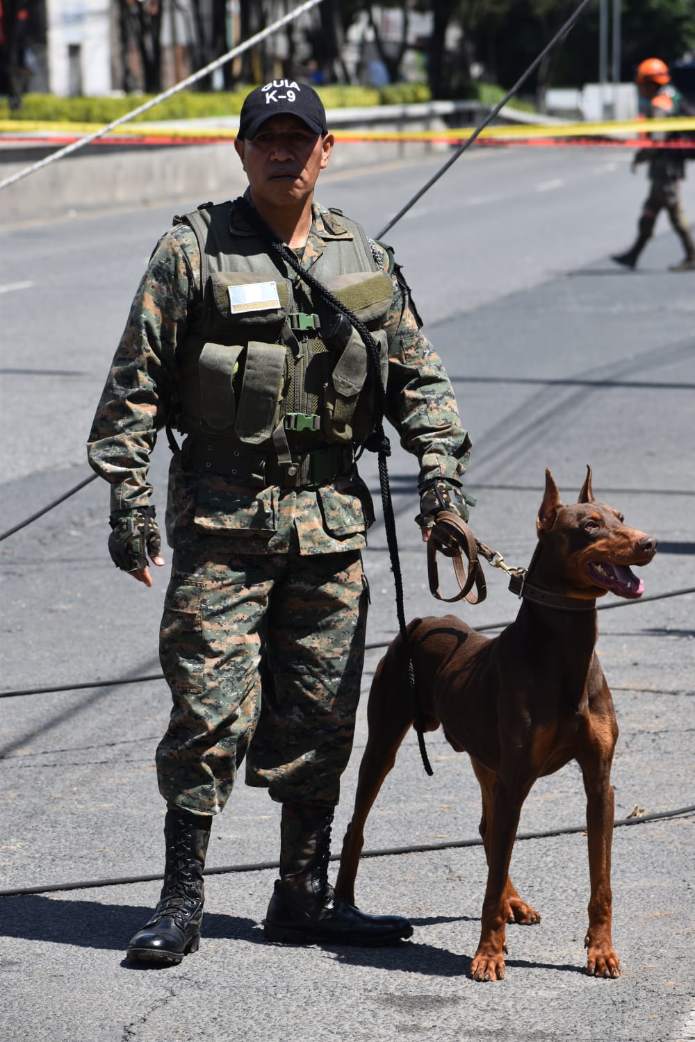 Blacky, el perro que utiliza el Ejército para la búsqueda de personas ...