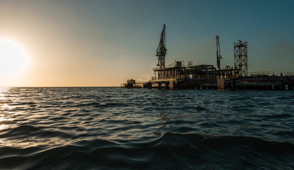 Al fin, un acuerdo de la ONU para proteger la altamar