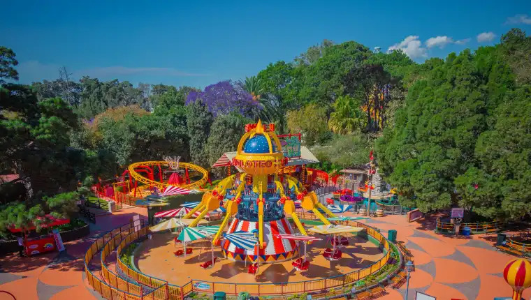 Irtra: Cómo renovar el carnet, cuáles son los beneficios y cuántas ...