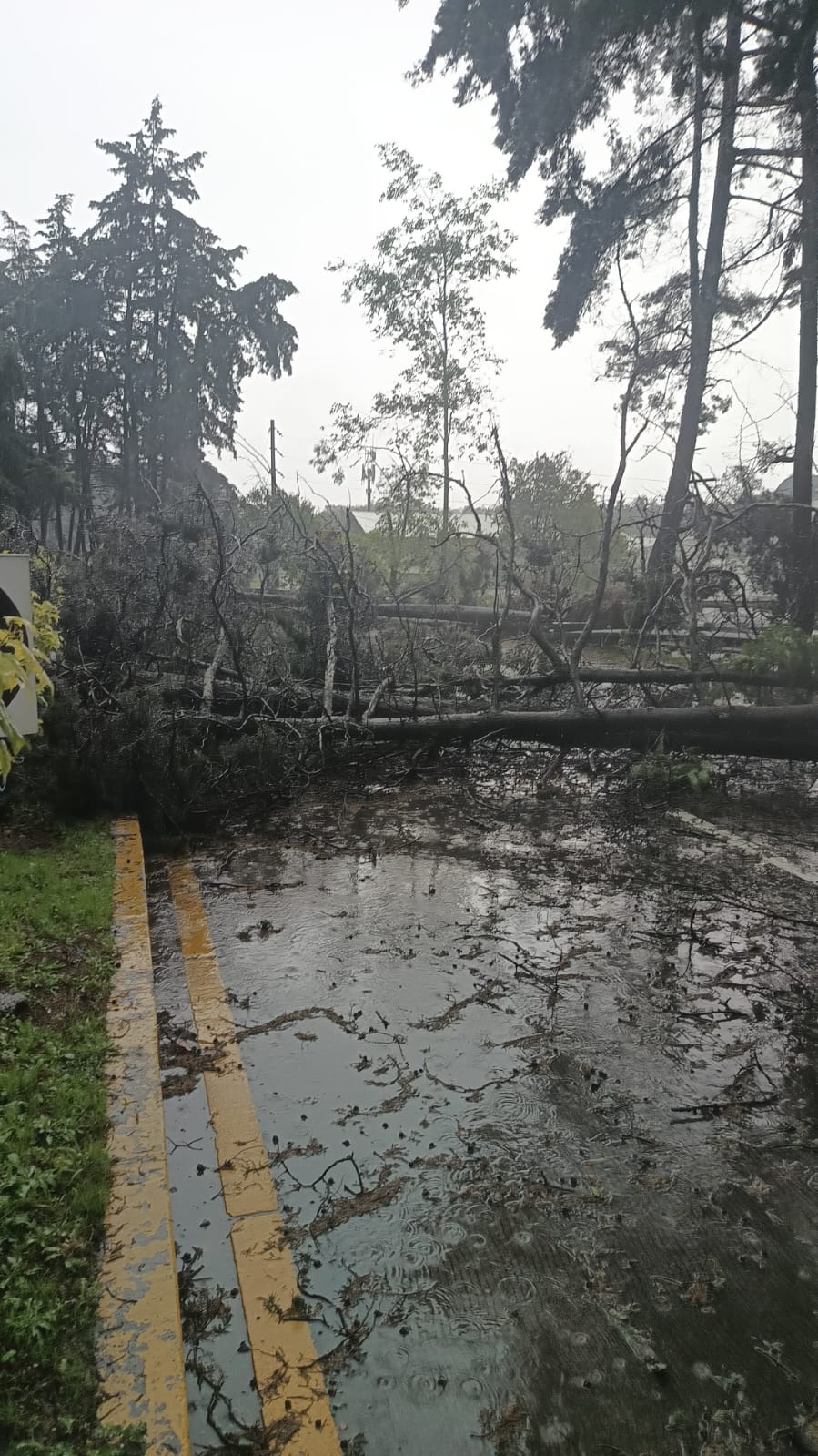 Imágenes: estragos por torrenciales lluvias en varios sectores del país
