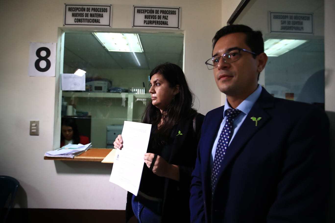 Semilla se pronuncia por acusaciones y persecución contra el partido y ...