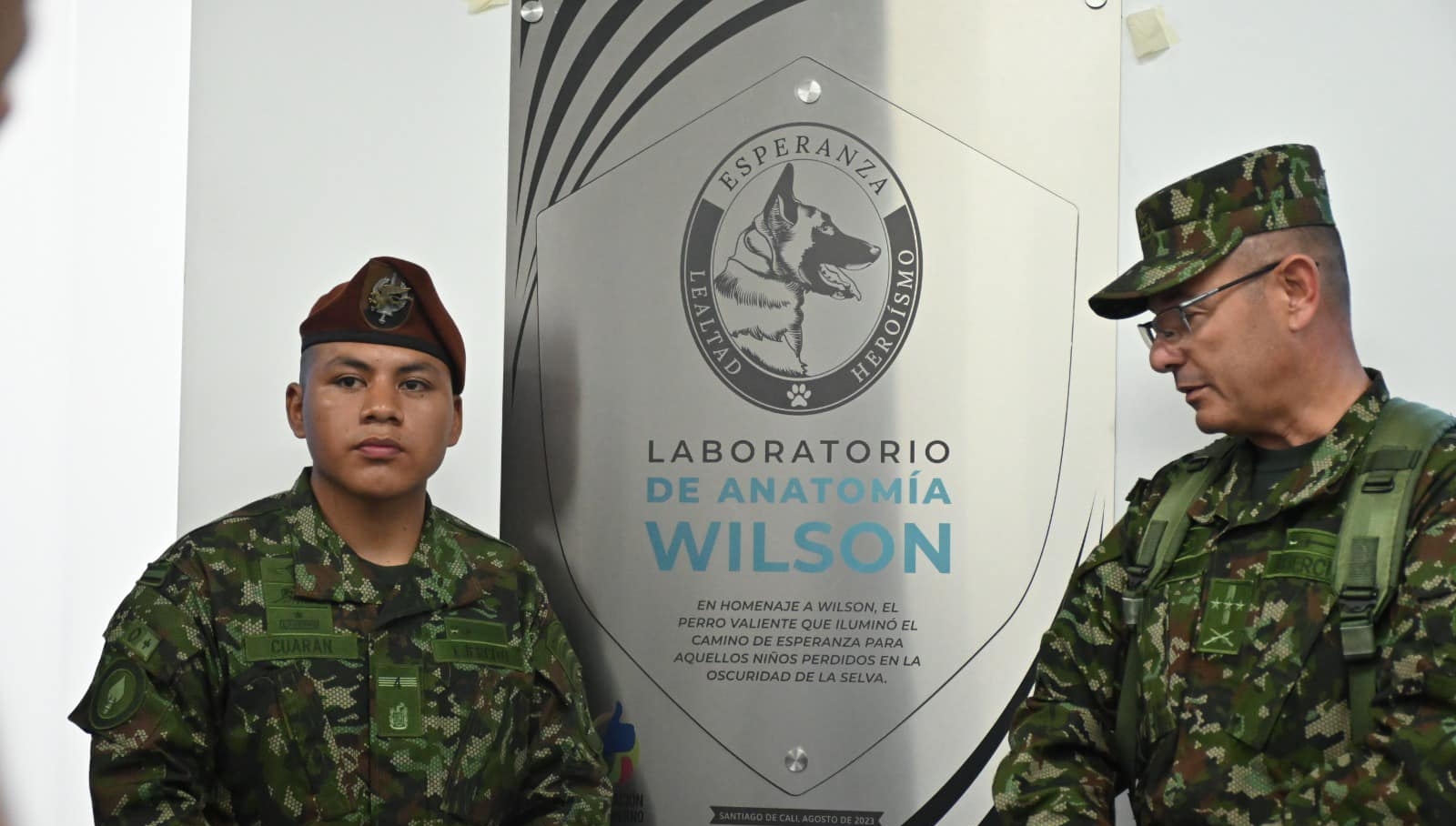 Homenajean a Wilson, el perro que ayudó a hallar a niños sobrevivientes ...