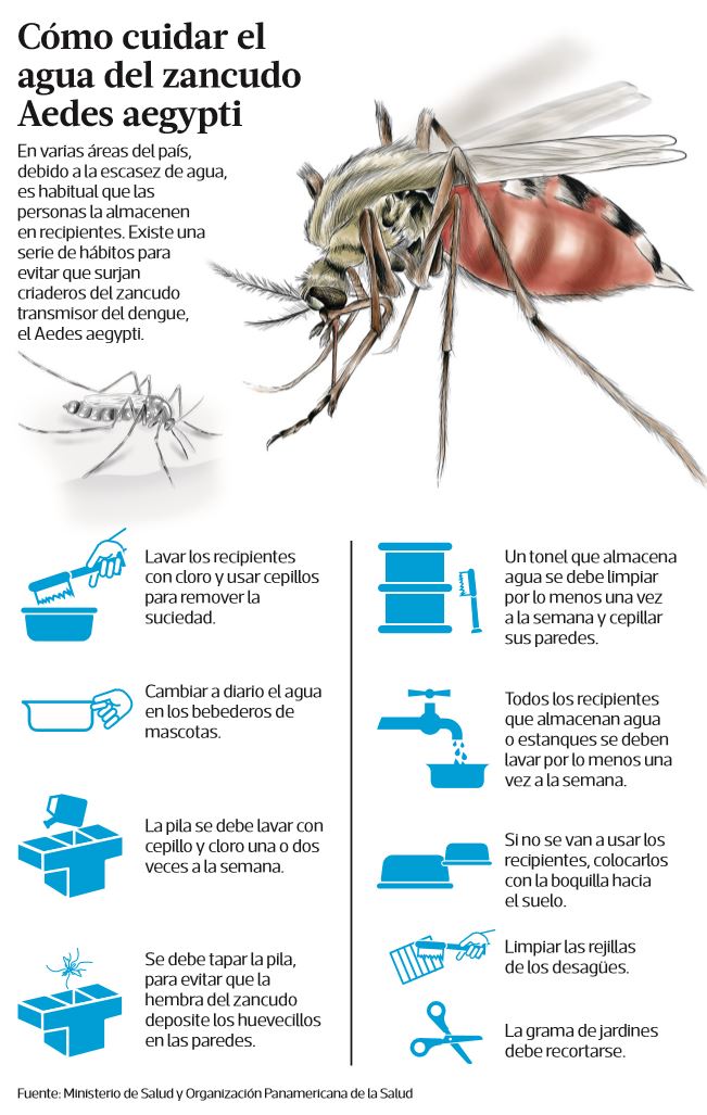 ¿El dengue es contagioso? Cómo se transmite la enfermedad y cuáles son los puntos claves que ...