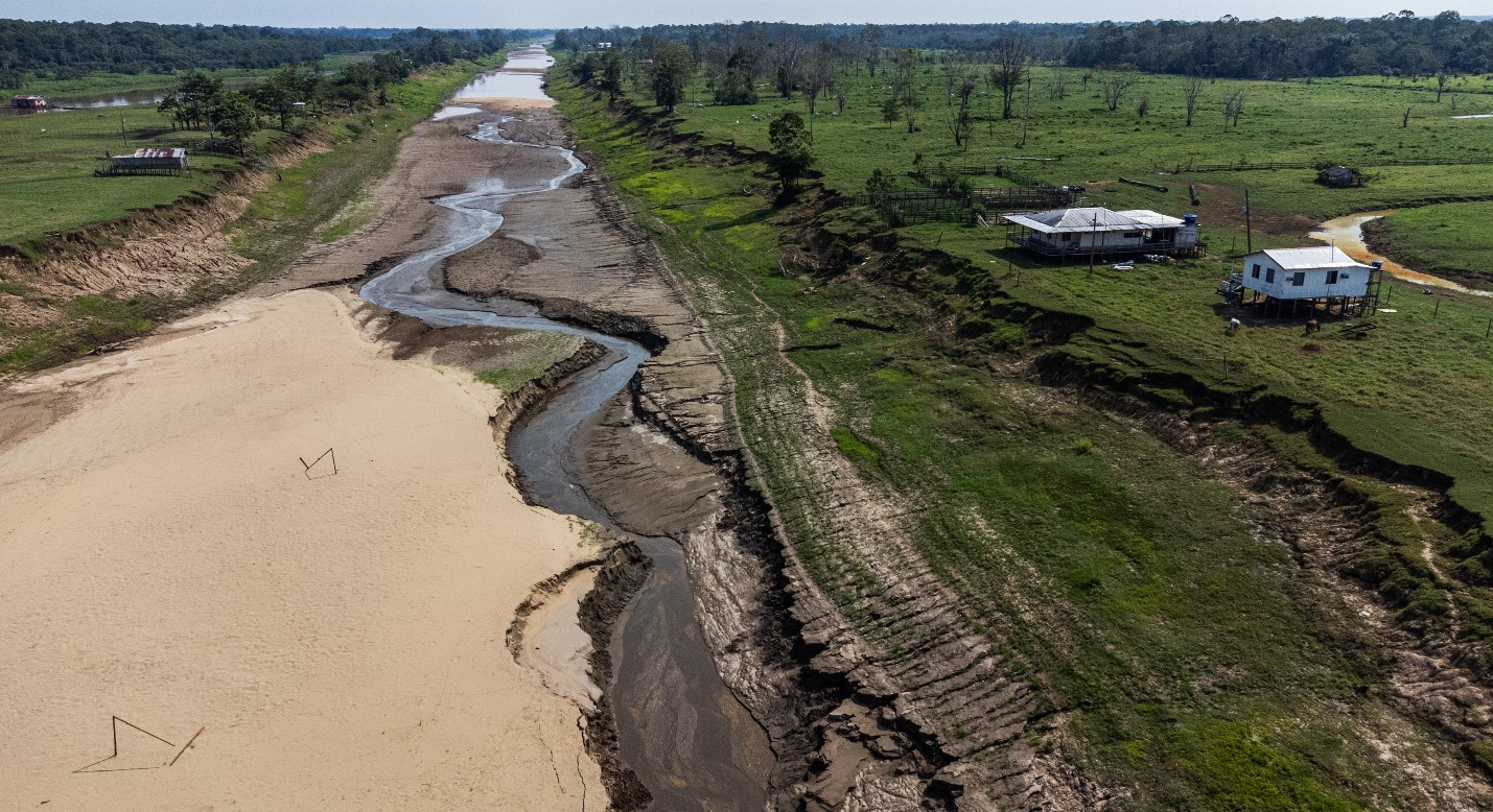 ¿Por qué una grave sequía está causando estragos en la Amazonía?