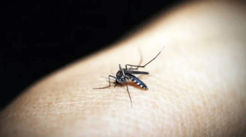 Casos de dengue grave: Salud actualiza Alerta Roja Institucional y ...