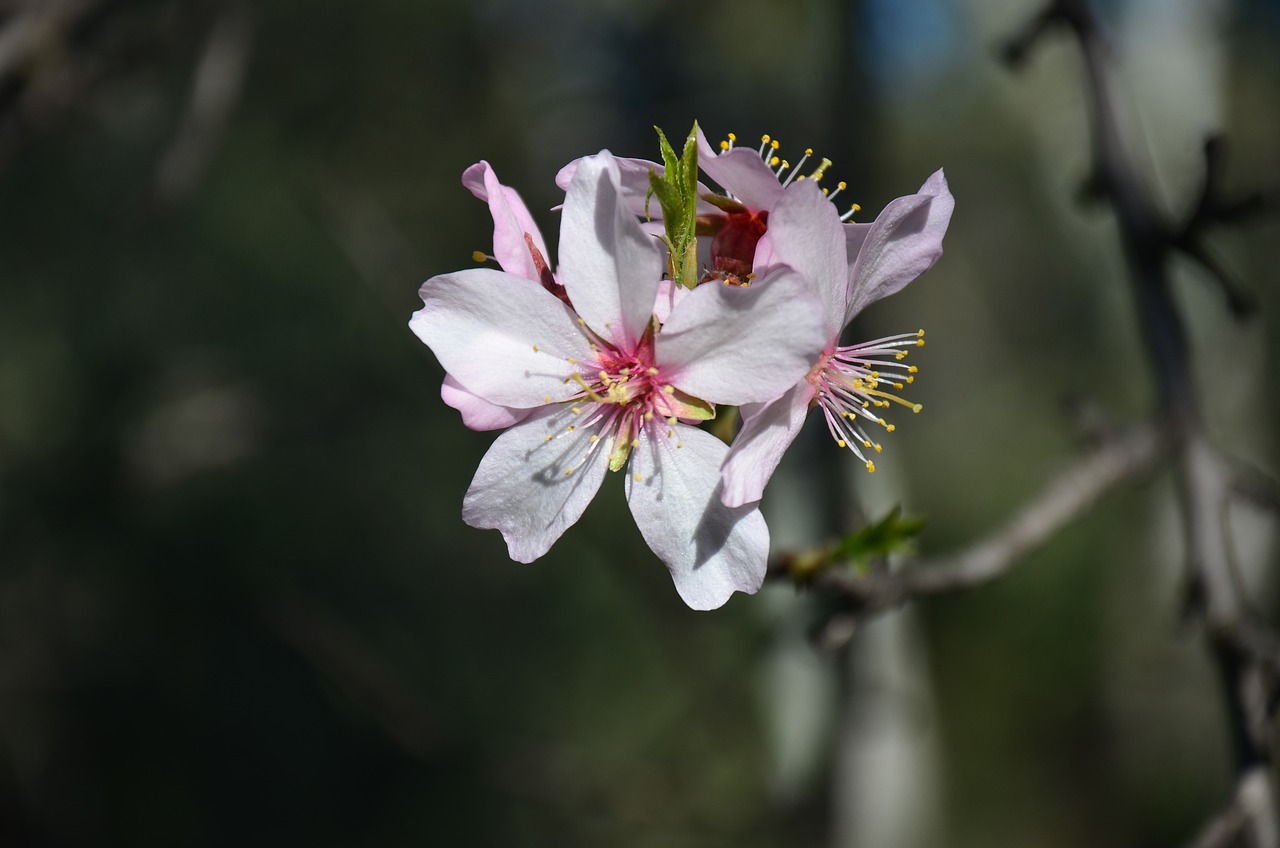 Leyendas de Guatemala de Miguel Ángel Asturias