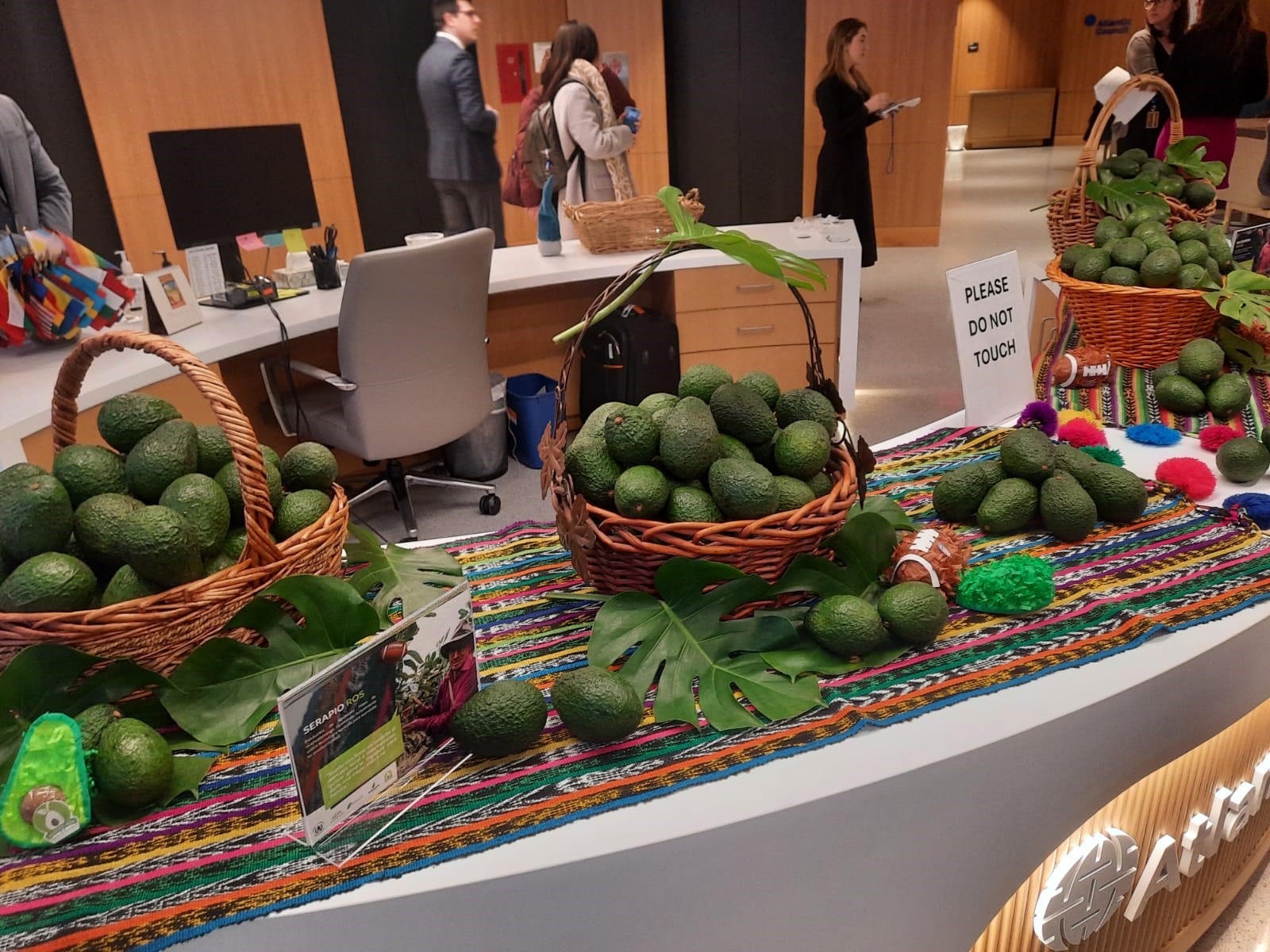Aguacate Hass se promociona en Estados Unidos, previo al Super Bowl y a ...