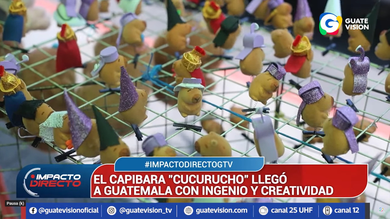 El capibara cucurucho conquista la Cuaresma: familia crea atuendos ...