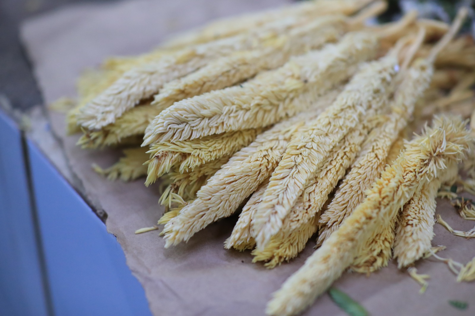 Corozo en Cuaresma y Semana Santa: qué es, significado y cómo se usa en ...