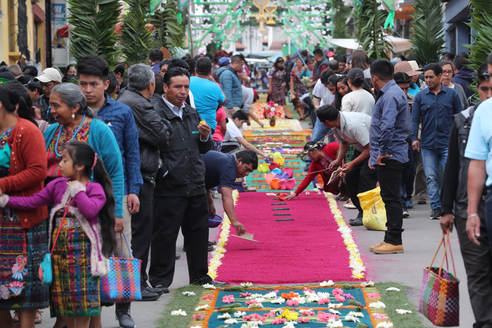 Semana Santa en Guatemala: cuáles son las flores tradicionales que ...