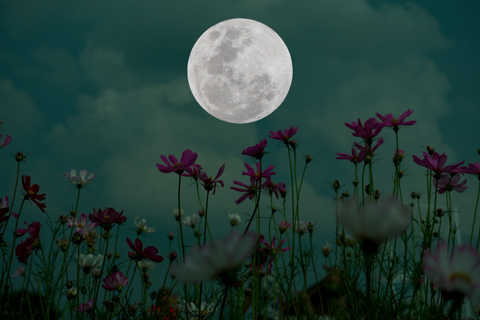 Luna llena de abril 2025: qué día y a qué hora se podrá observar en ...
