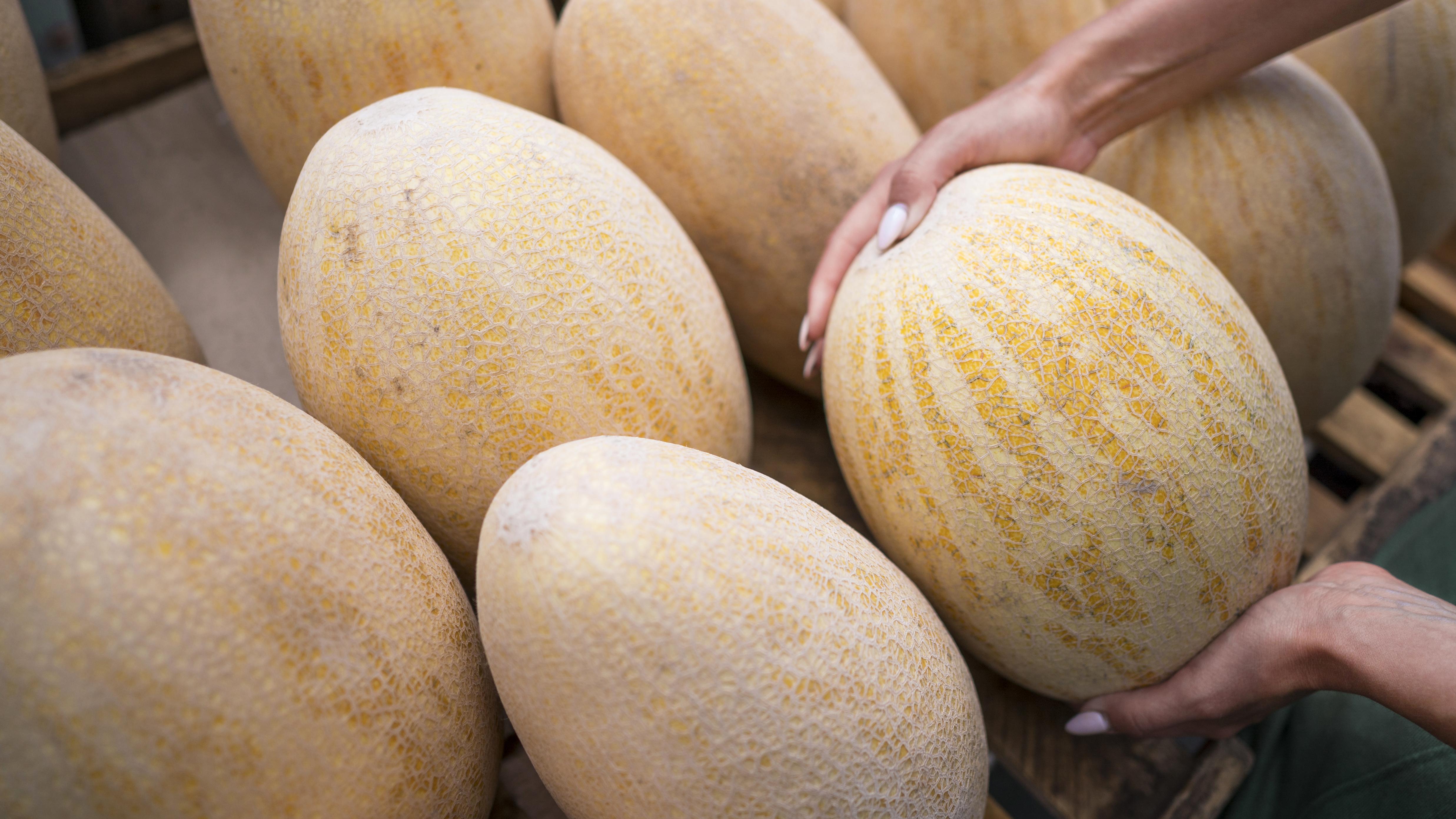 Melón, arándano y chocolate: piden reactivar más de US$20 millones en ...