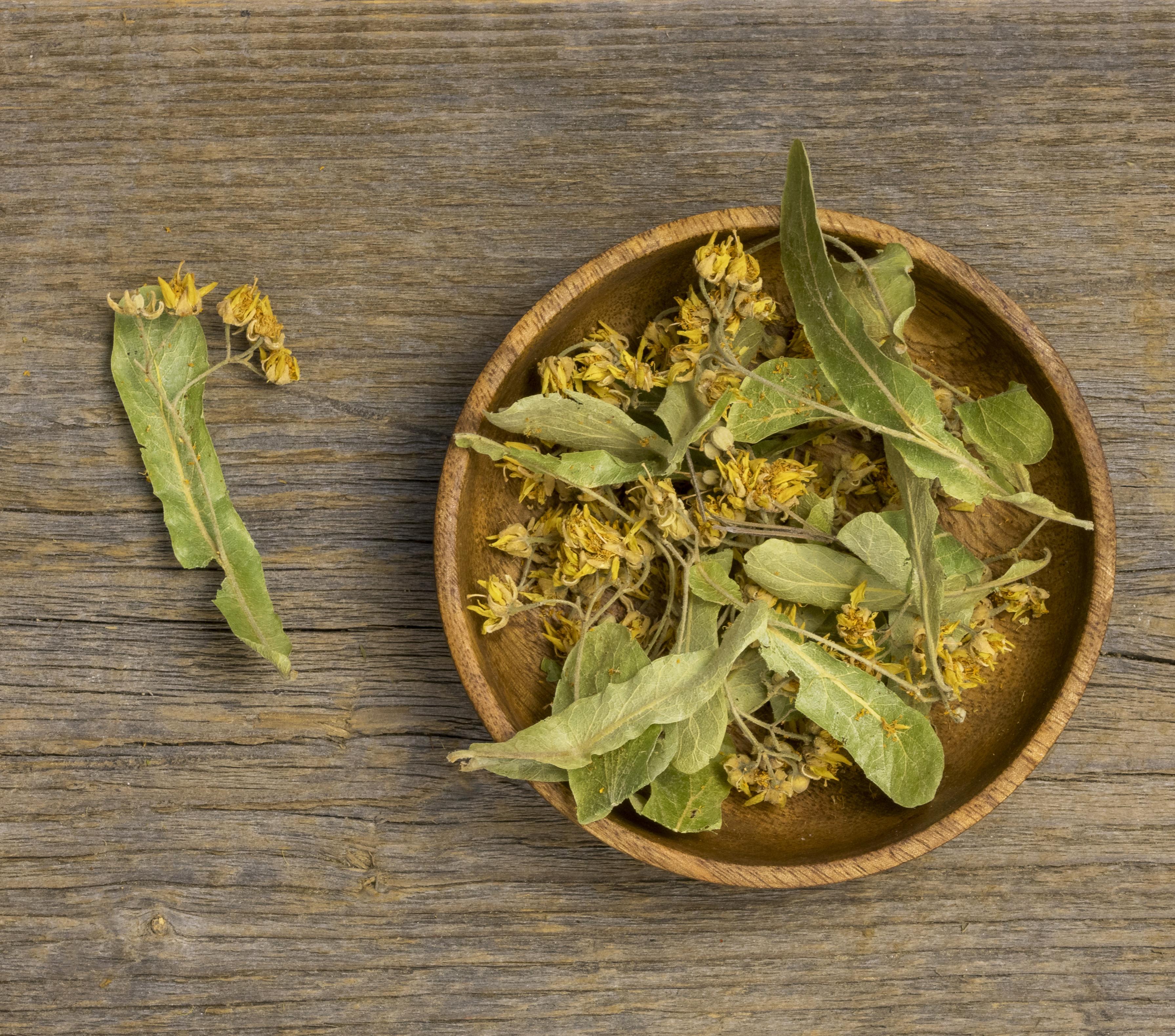 ¿Para qué sirve el té de tilo? 6 beneficios de esta planta medicinal