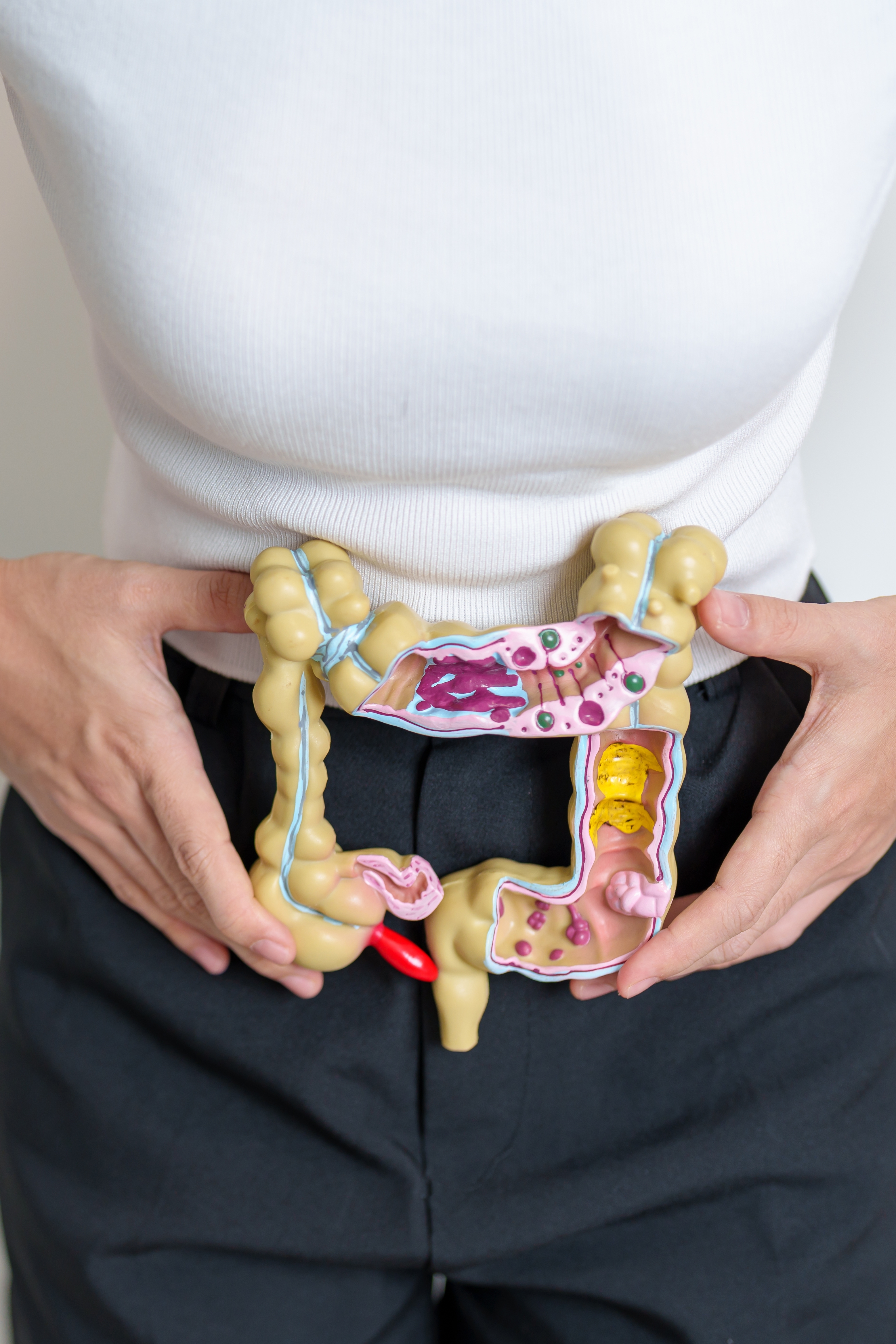 Síndrome de intestino irritable: ¿Por qué las mujeres sufren más dolor ...