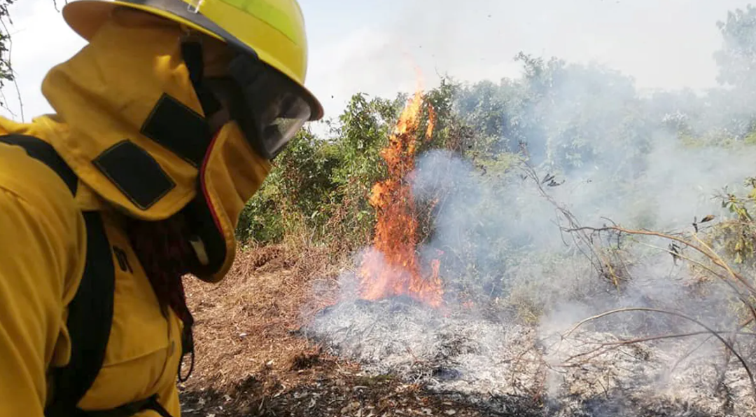 Guatemala registró más de mil 700 incendios forestales en 2025 y Conred ...