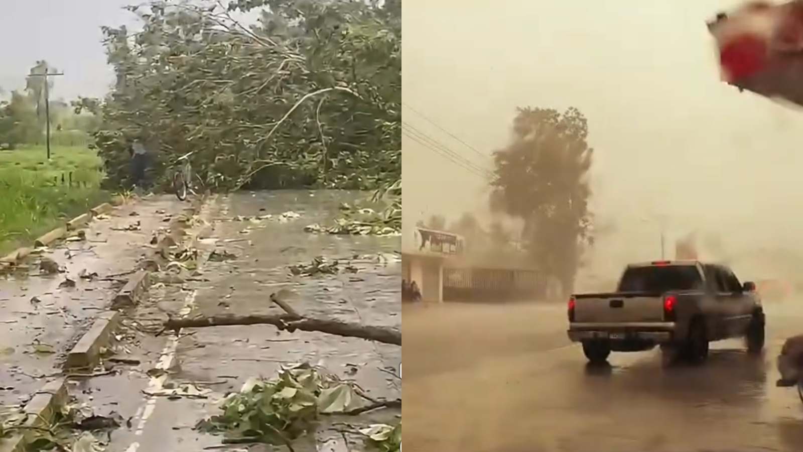 Precaución por posibles bloqueos tras caída de árboles durante tormenta ...